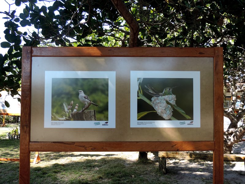 SEAMA - Parque Paulo César Vinha inaugura exposição de aves nesta sexta ...
